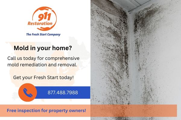 Restoration Services - 911 Restoration of Metro Detroit